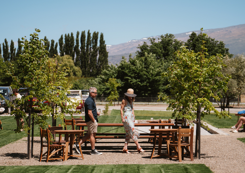 Homepage - Monte Christo Winery